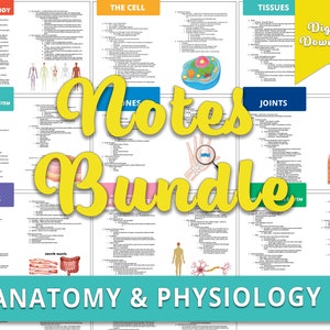 Anatomy Notes Bundle Anatomy and Physiology 2 Digital - Etsy