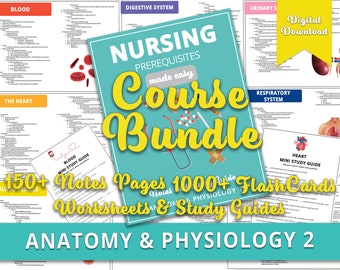 Anatomy Notes Bundle Anatomy and Physiology 2 Digital - Etsy