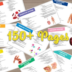 Anatomy Notes Bundle Anatomy and Physiology 2 Anatomy Physiology ...