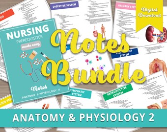 Anatomy Notes Bundle Anatomy and Physiology 2 Digital - Etsy