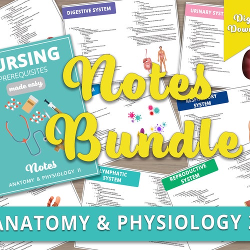 Anatomy Notes Bundle Anatomy and Physiology 2 Digital - Etsy