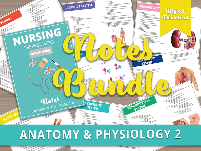 Anatomy Notes Bundle Anatomy and Physiology 2 Digital - Etsy