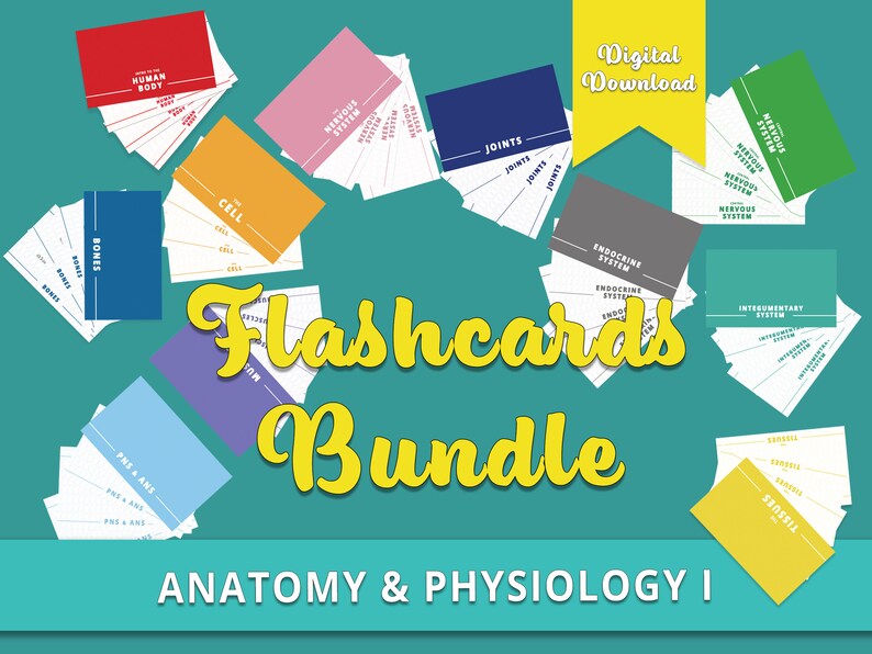 Anatomy Flashcards Bundle | Anatomy and Physiology Flashcards | Anatomy ...