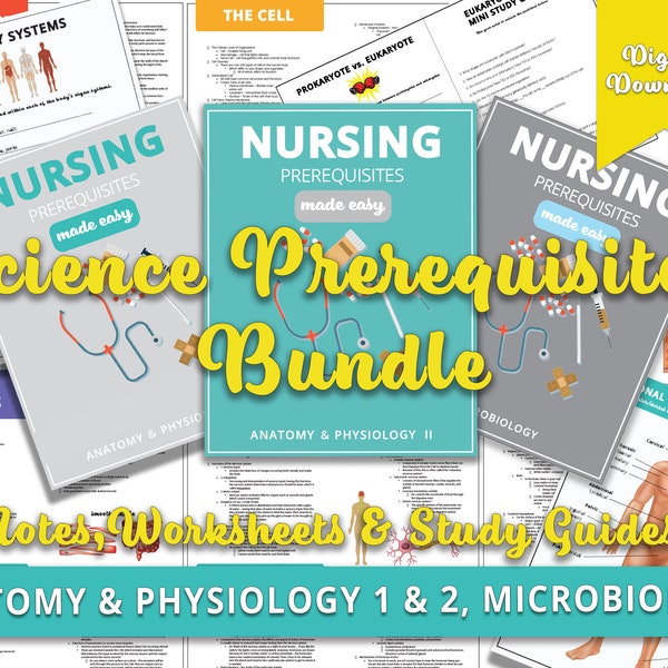 Anatomy Notes - Etsy