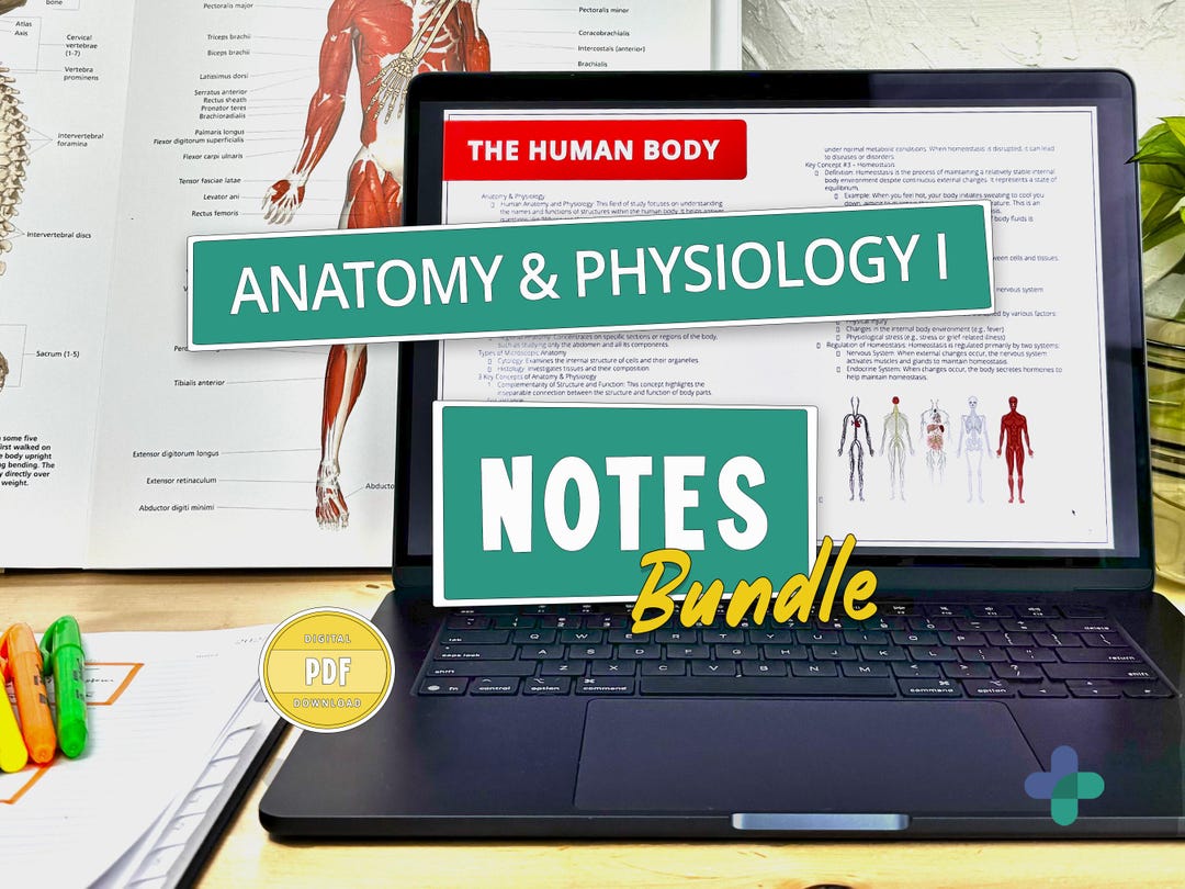 Anatomy & Physiology Notes Bundle: Nursing School AP 1 (PDF Download ...