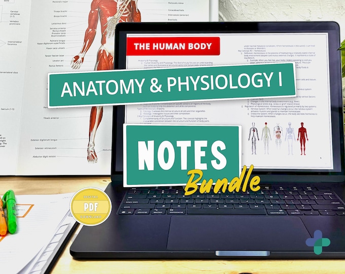 Anatomy & Physiology Notes Bundle: Nursing School AP 1 (PDF Download ...