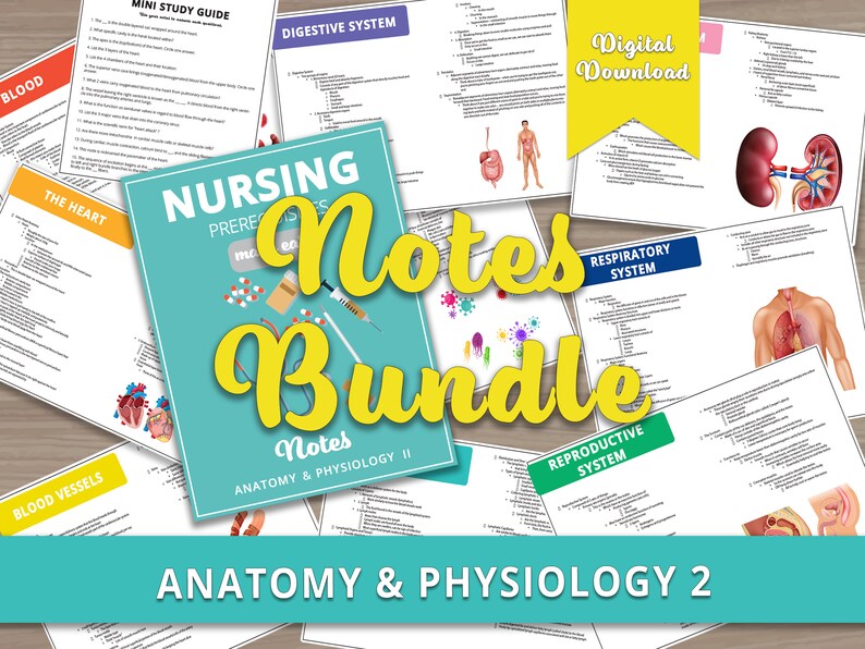 Anatomy Notes Bundle Anatomy and Physiology 2 Anatomy Physiology ...