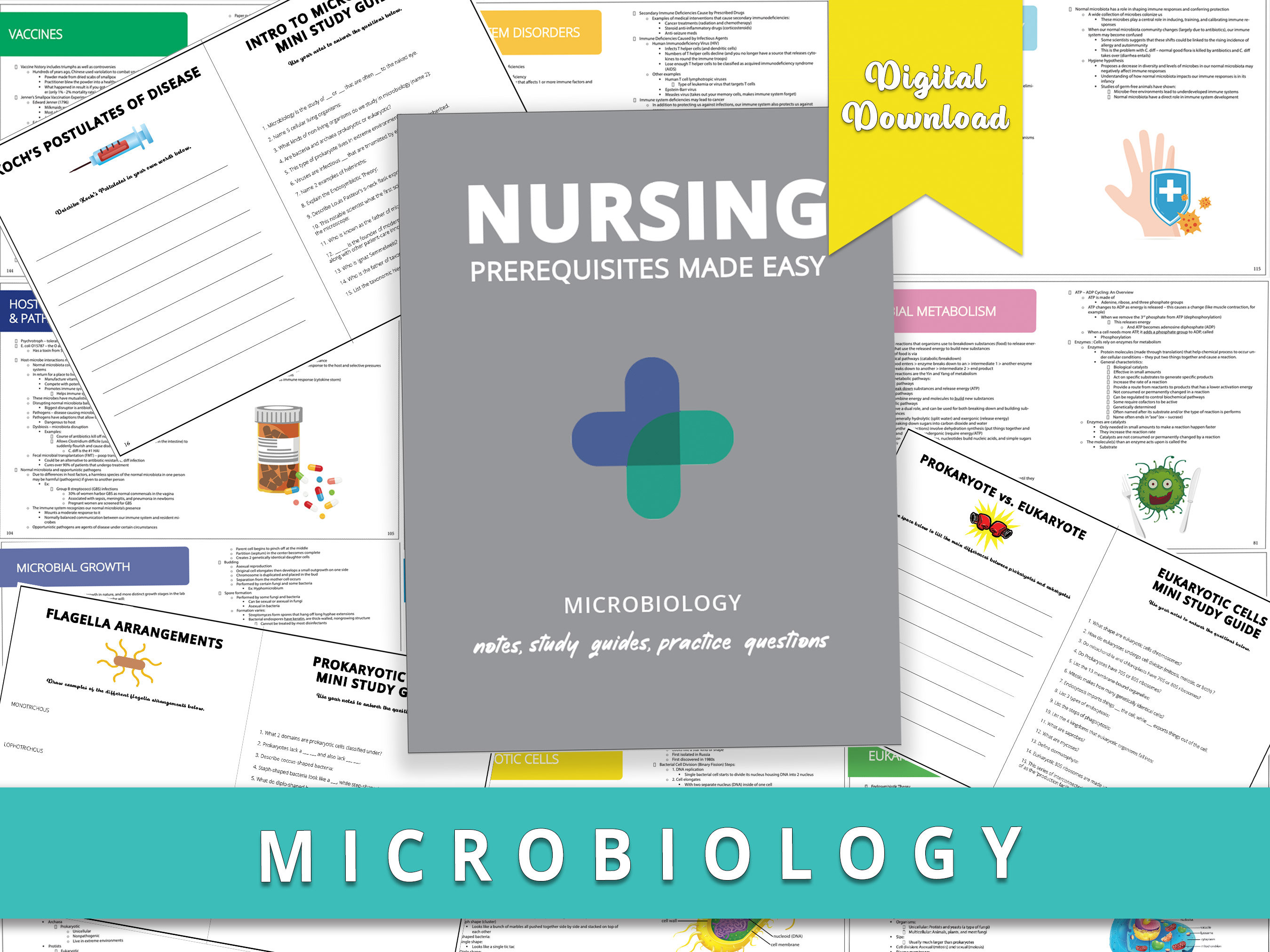Microbiology for Nursing and Pre-nursing Students | Microbiology Notes ...