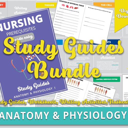 Anatomy and Physiology Note Taking Templates Study Guide - Etsy