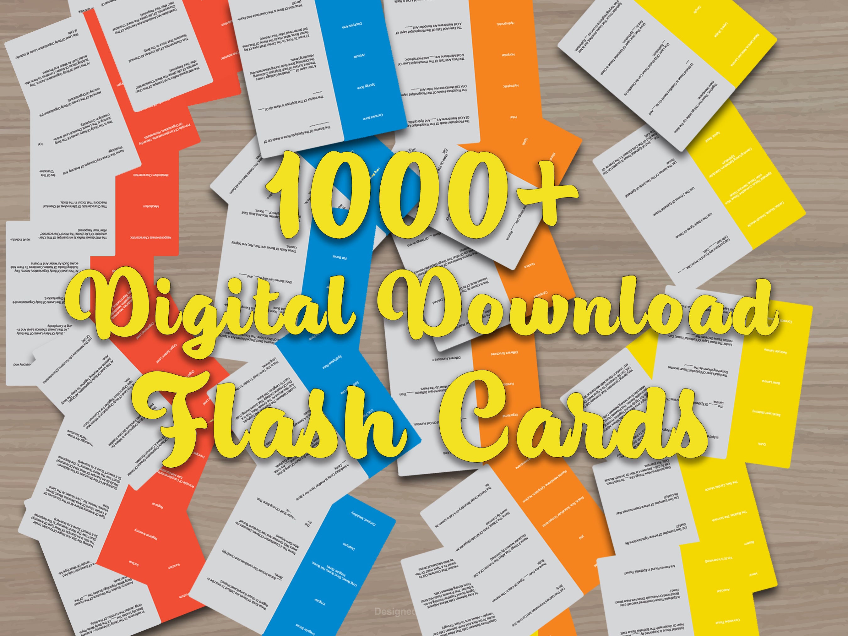 Anatomy Notes, Study Guide, Flash Cards Bundle, Anatomy & Physiology 2 ...