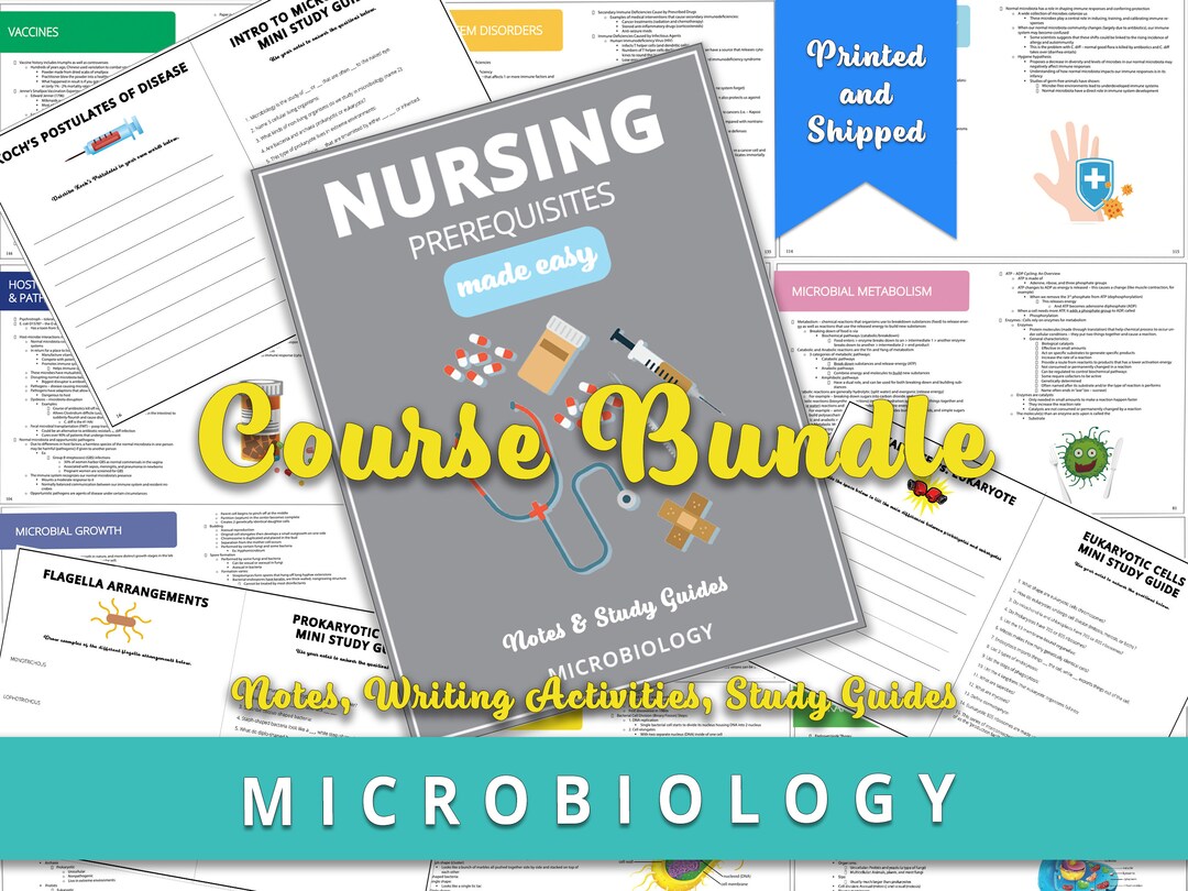 Microbiology Notes Bundle, Microbiology Study Guide, Course Bundle ...