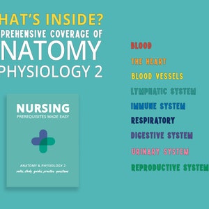 Anatomy Notes Bundle | Anatomy and Physiology 2 | Anatomy Physiology ...