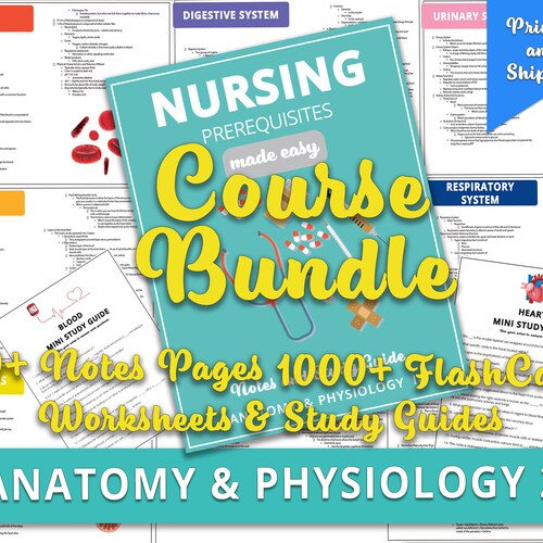 Anatomy Notes Bundle Anatomy and Physiology 2 Digital - Etsy