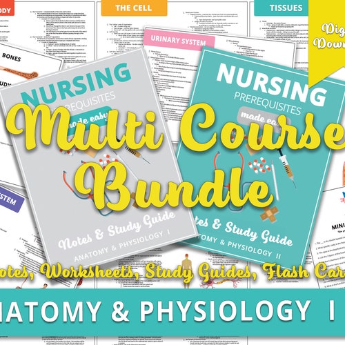 Anatomy Notes Bundle Anatomy and Physiology 2 Digital - Etsy