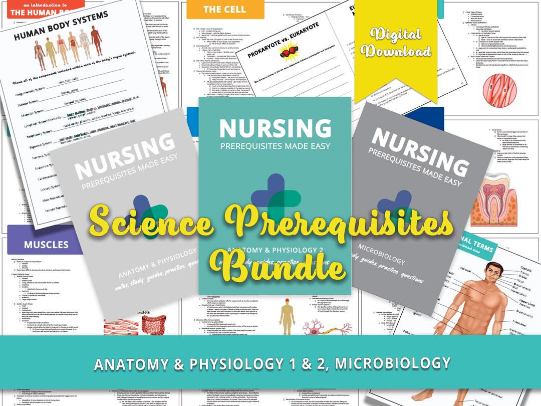 Science Bundle: Anatomy, Microbiology, Physiology Notes - Digital ...