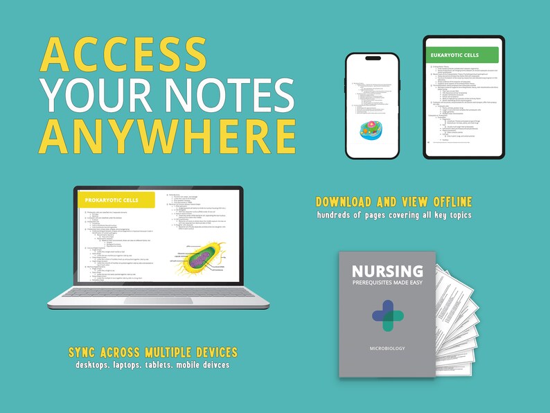Microbiology Notes Bundle for Nursing Students (digital Download) - Etsy