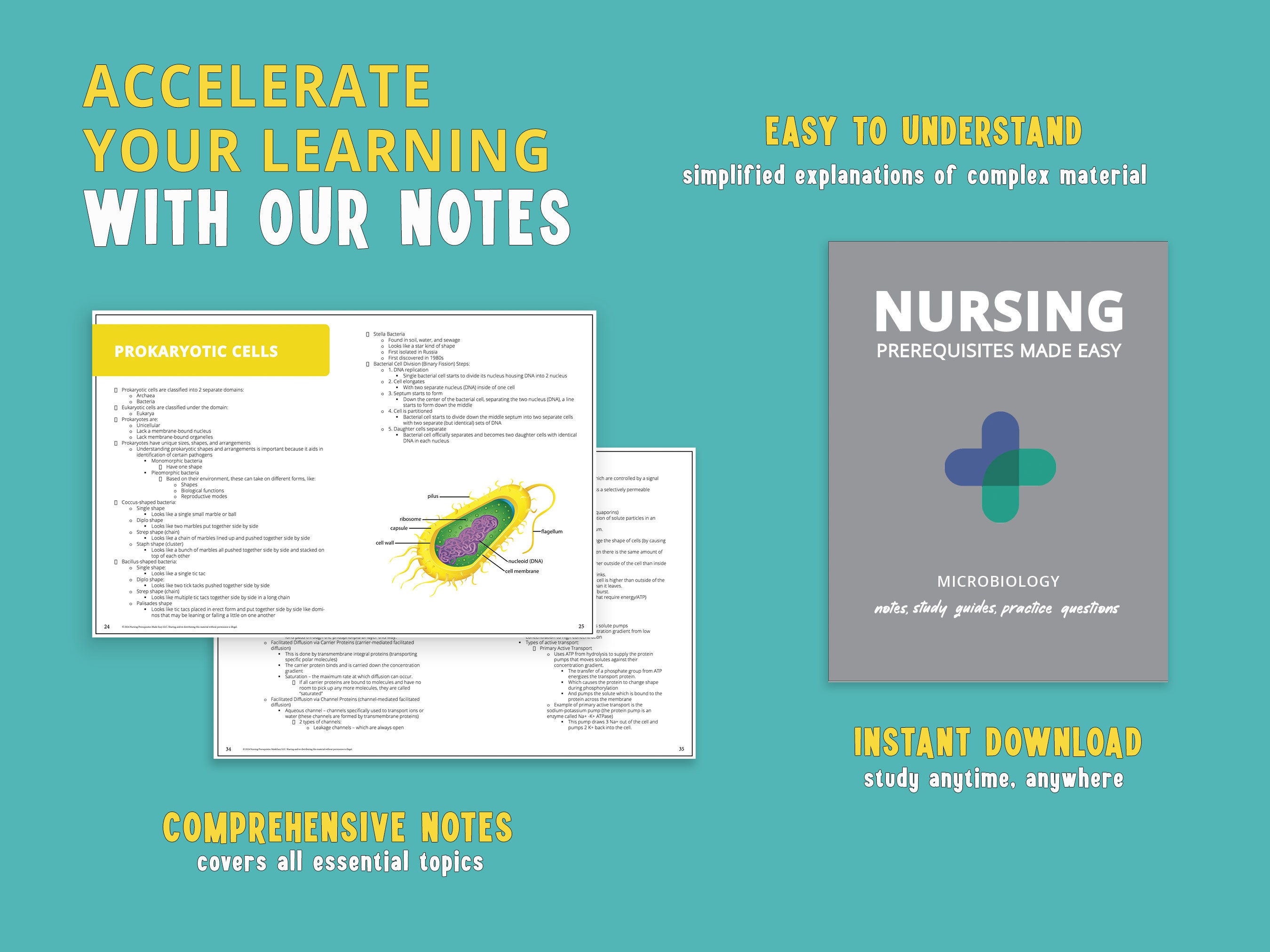 Microbiology Notes Bundle, Microbiology Study Guide, Digital Download ...