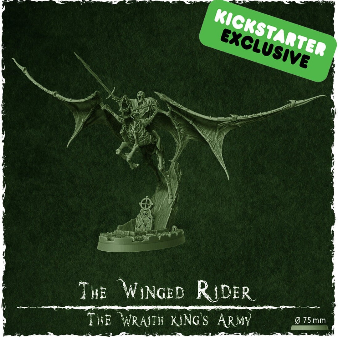 Winged Rider the Wraith Kings Army 3D Printing the 9th Age and Other ...