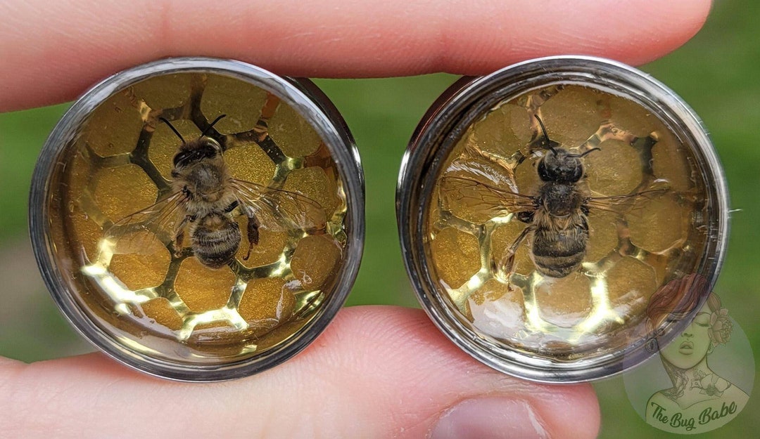 25mm 1 In Honey Bee Plugs - Etsy