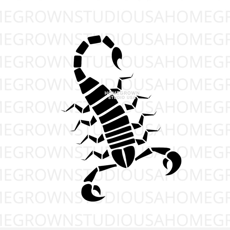 Scorpion SVG Insect Clipart Svg Scorpion Cutfile Zodiac - Etsy