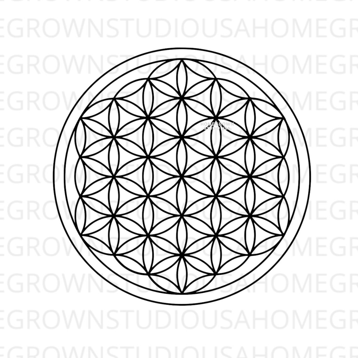 Flower of Life SVG Cycle of Creation Sacred Geometry - Etsy