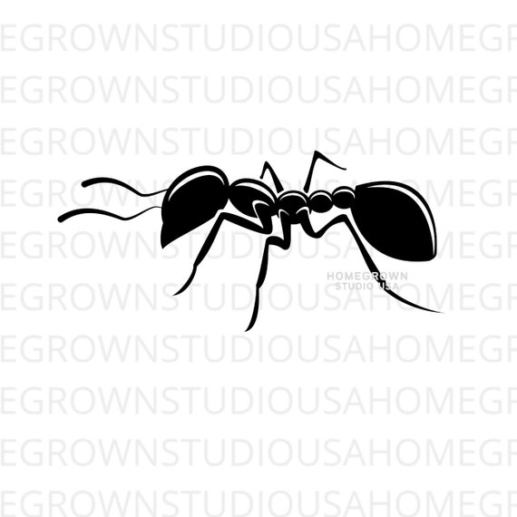 Ant SVG Ant Vector Clipart Bug Insect Svg Insect Clipart - Etsy