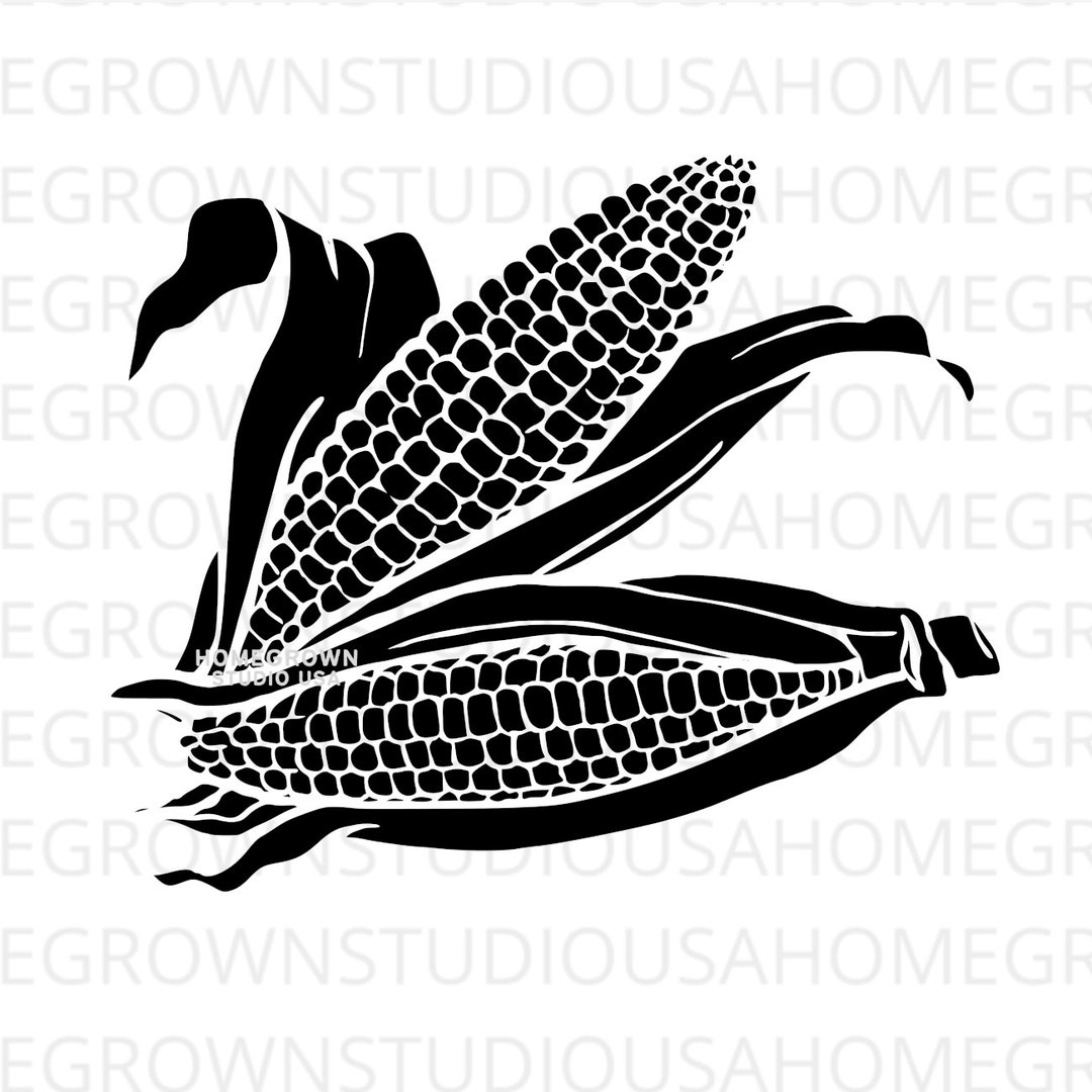 Corn Svg, Corn Husks Png, Corn Stalk, Thanksgiving Clipart Files ...