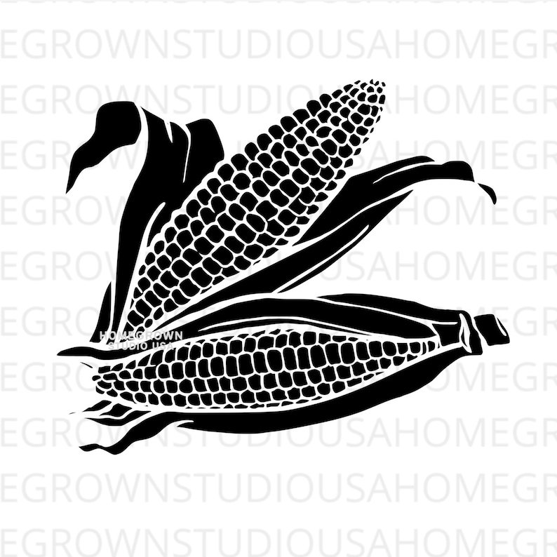 Corn Svg, Corn Husks Png, Corn Stalk, Thanksgiving Clipart Files ...
