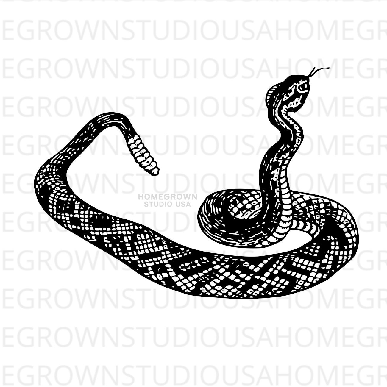 Rattlesnake Svg Snake Svg Rattlesnake Png Reptile Snake - Etsy UK