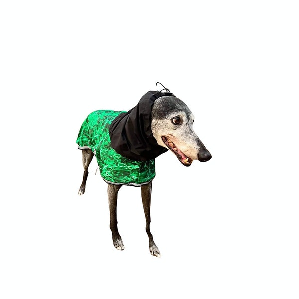 Whippet Dog Coat Pattern - Etsy
