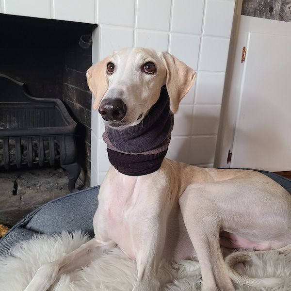 Greyhound Snood - Etsy