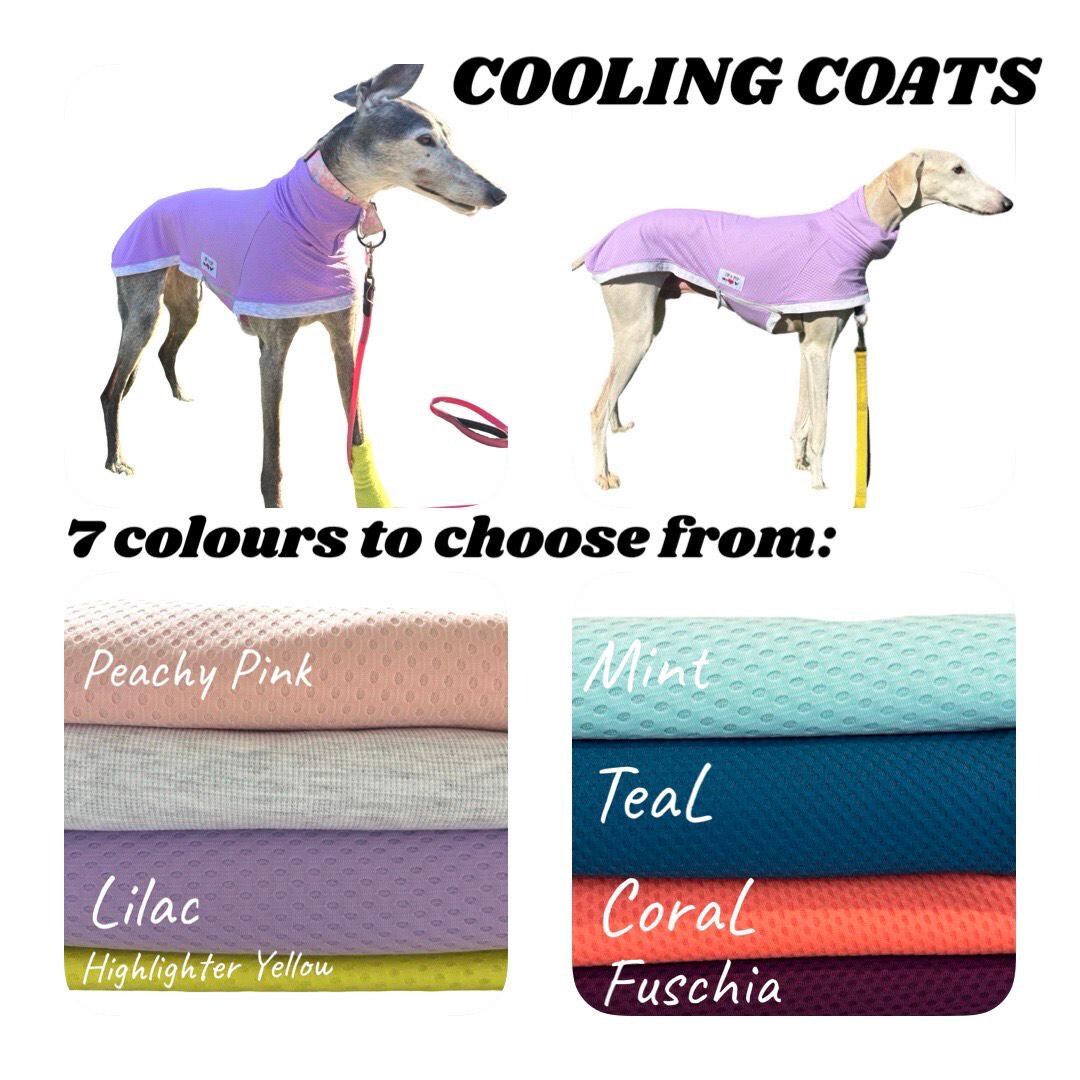 Sighthound Cooling Coat | Greyhound Cooling Coat | Whippet Cooling Coat ...