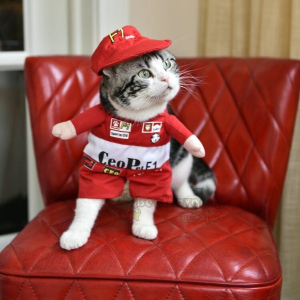 Formula 1 Halloween Costume - Etsy