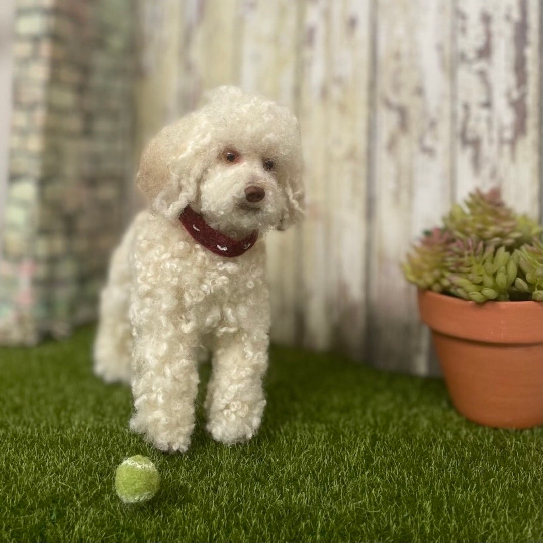 Custom Dog Replica, Felted Dog Portrait, Miniature Poodle, Dog Memorial ...
