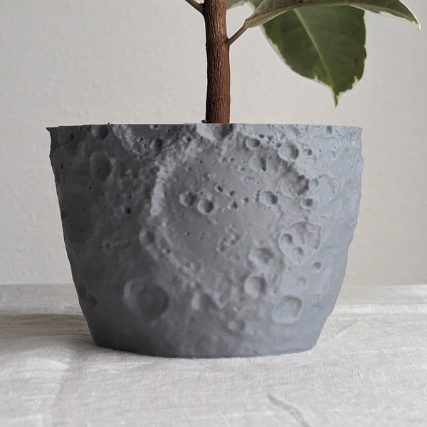 Moon Plant Pot - Etsy
