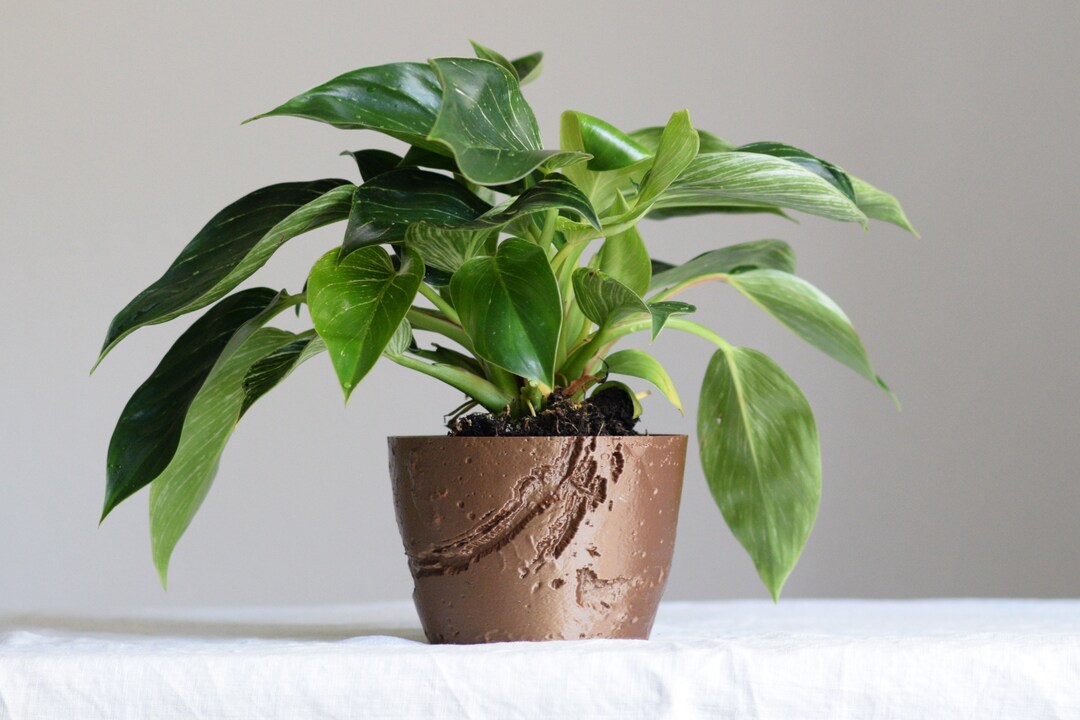 Mars Planter | 3D Printed Martian Surface | Indoor Plant Pot | Unique ...