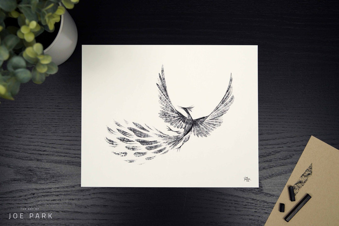 Phoenix Bird Art Print Wall Art Conté Crayon Black and White Drawing ...