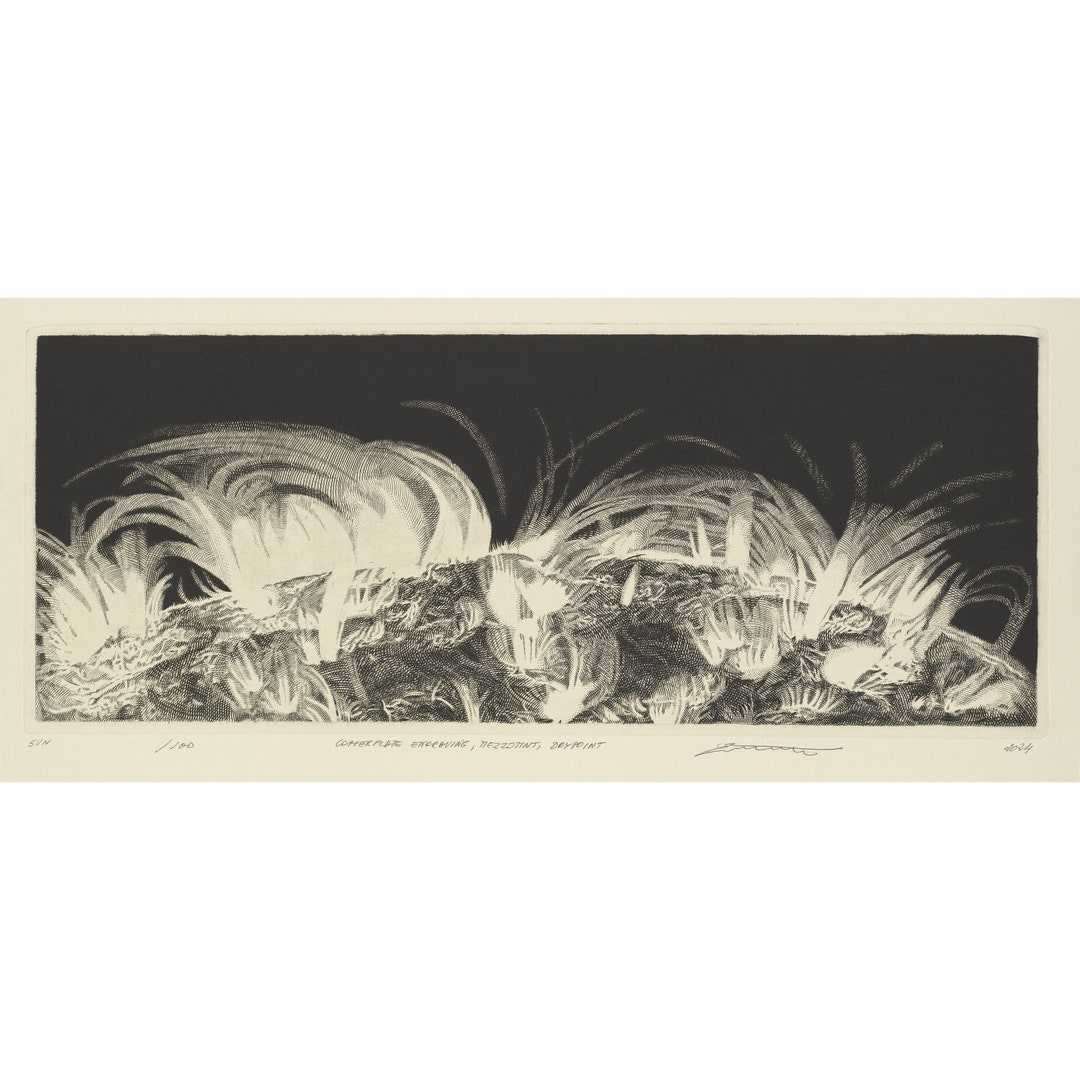 Sun Coronal Mass Ejection: Hand-engraved Copperplate Intaglio Print - Etsy