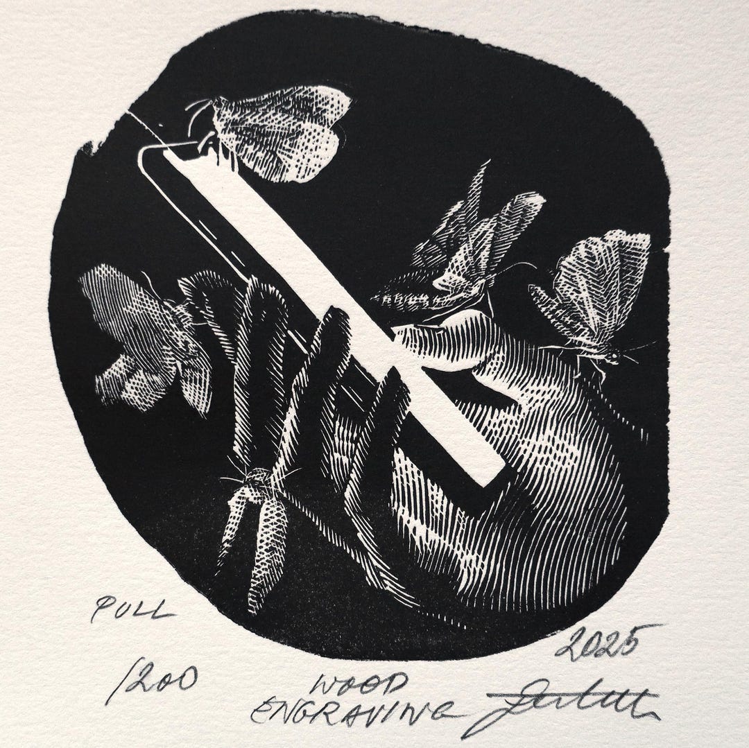 Moths & Phone: Hand-engraved Boxwood Print - Limited Edition - Etsy