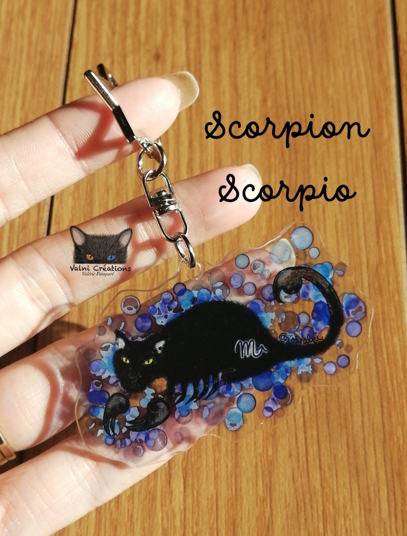 Signe Astrologique, Scorpion, Scorpio, Zodiac Cats, Crazy cat lady ...