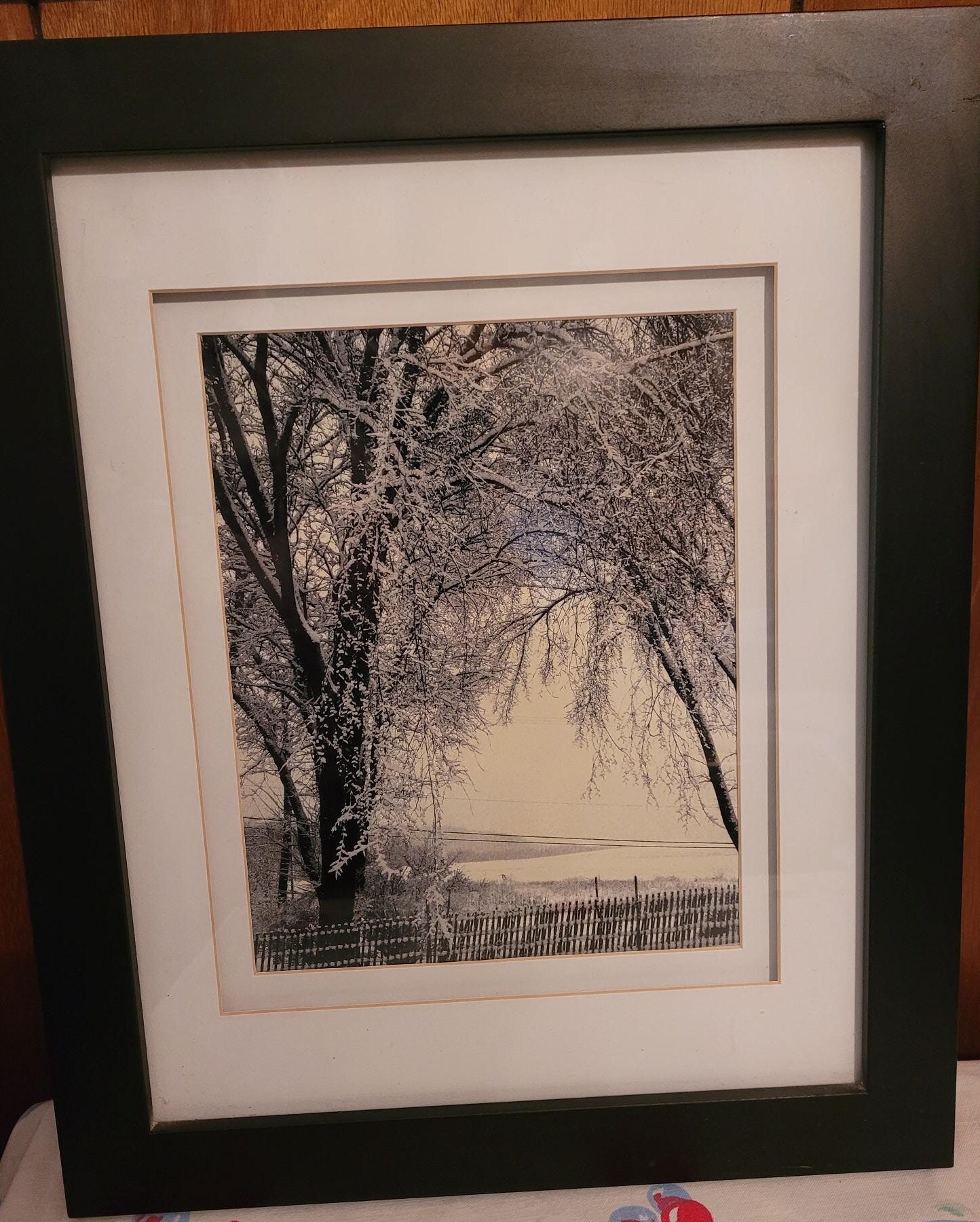 Winter Trees - 8x10 Black and White Photo, Framed - Etsy