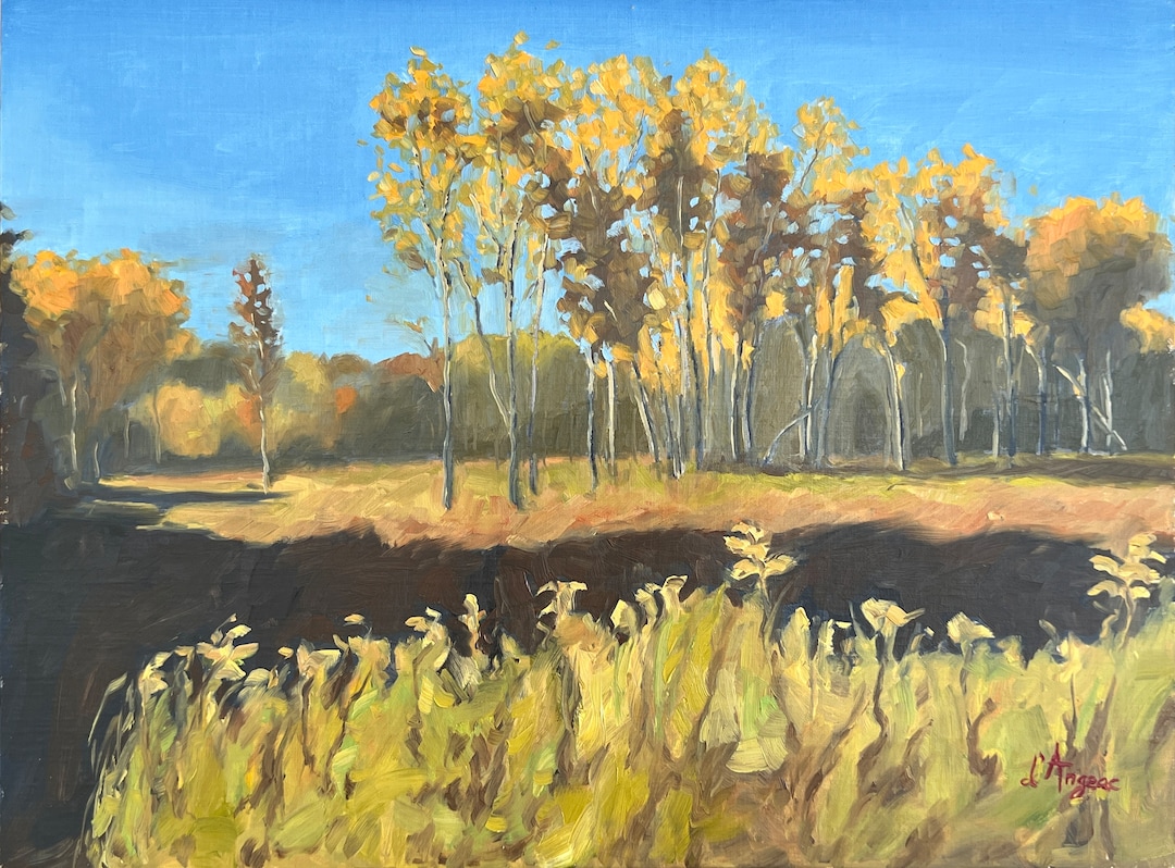 Wisconsin Fall Landscape Oil Painting: Original 12x16 Canvas Art - Etsy