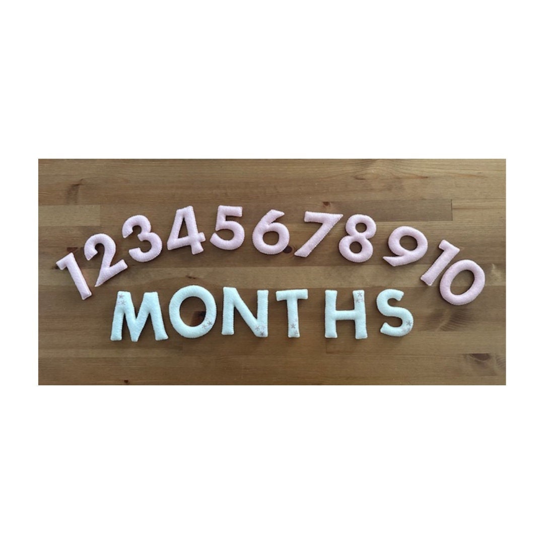 Baby Monthly Milestone Numbers Set pink - Etsy