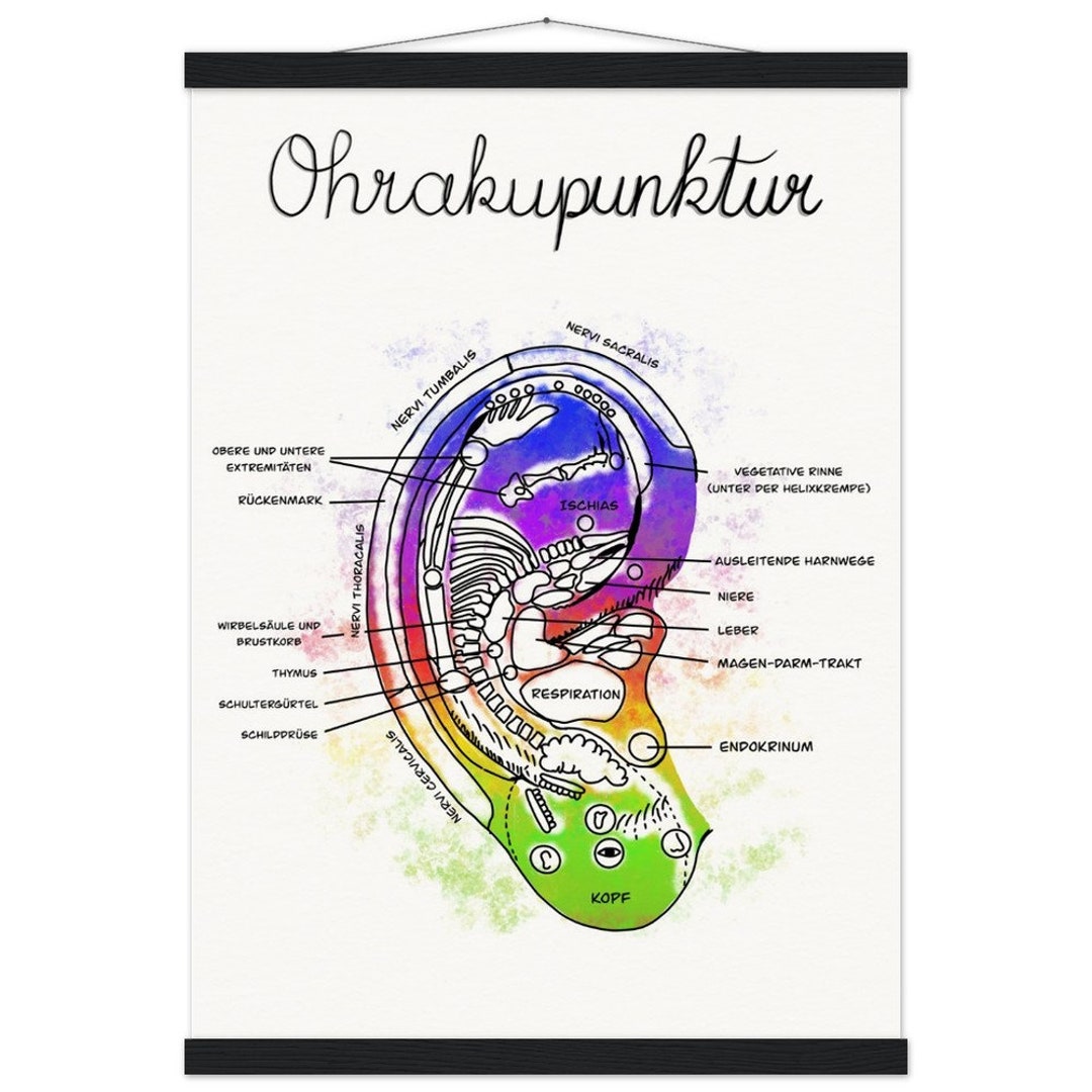 Museum Quality Matte Paper Ear Acupuncture Poster With Borders - Etsy