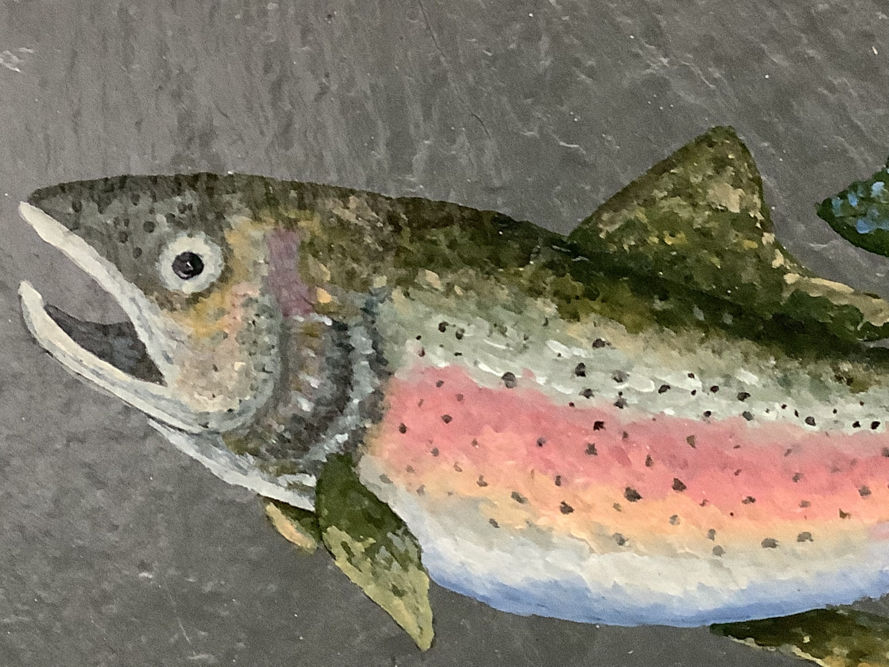 Hand Painted Wayne Rainbow Trout Fishing 12.5 X 8.5 Large Oval Shaped ...