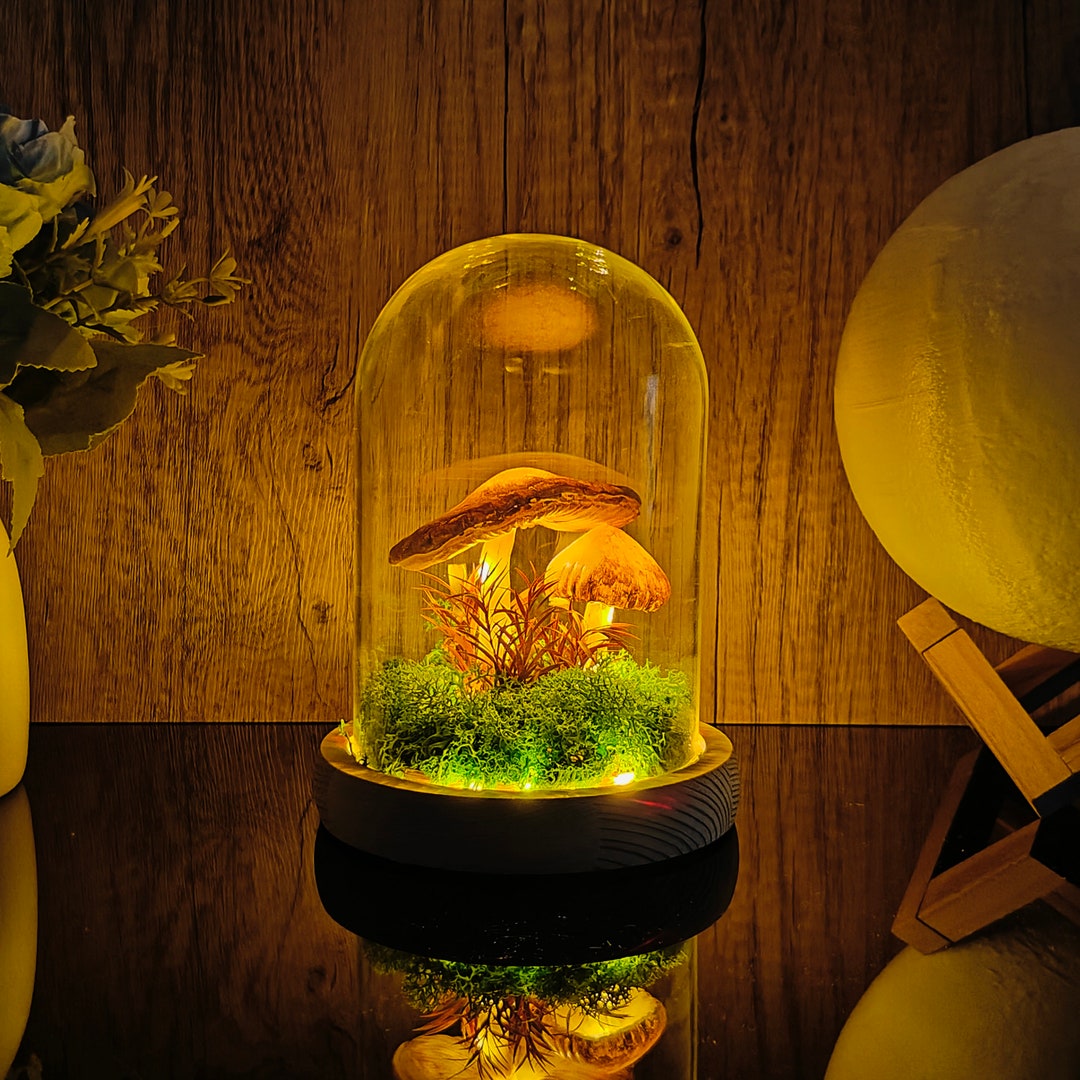 Mystical Mushroom Lamp Hand-painted Mushroom Lamp Home Decor ...