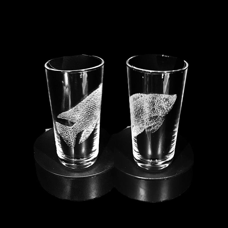 Gifts for Fish Tank Owners - 60+ Gift Ideas for 2025