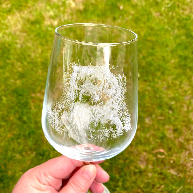 Cat Wine Photo - Etsy UK