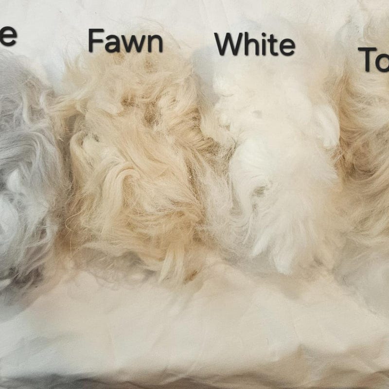 Angora Fiber - Etsy
