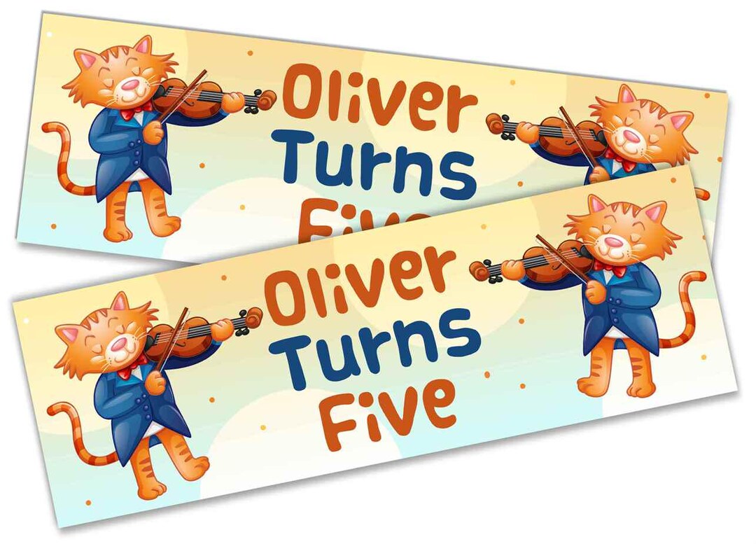 X2 Personalised Birthday Banner Cat Design Children Kids Party ...